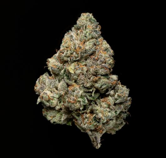 The strains that made FloraCal Farms - 🌱 Max's Harvest