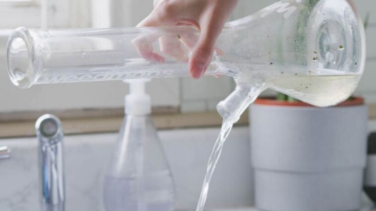 Natural and Homemade Cleaners for Bong Cleaning - 🌱 Max's Harvest