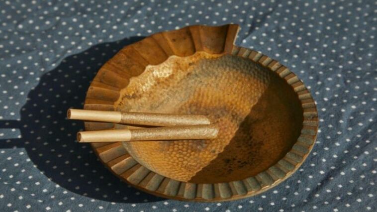 Waffle Cone strain review - 🌱 Max's Harvest