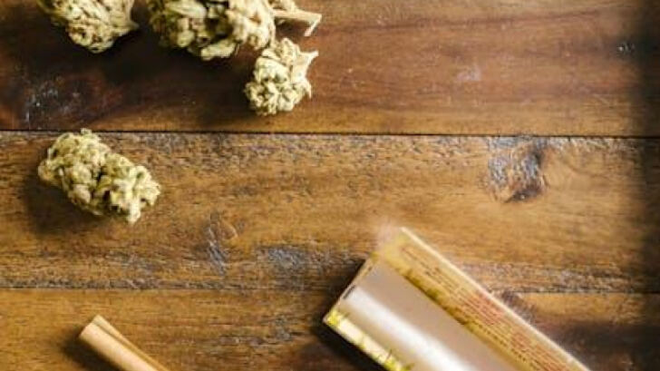 Rare and Exotic Cannabis Strains - 🌱 Max's Harvest