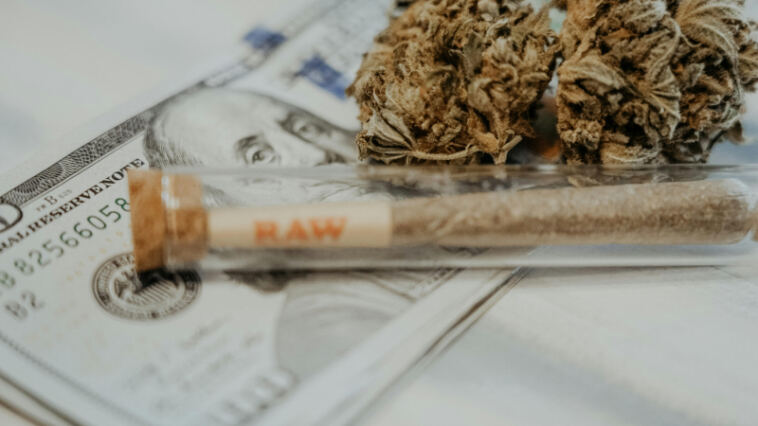 Mixing Cannabis and Mushrooms: Here's What You Need to Know - 🌱 Max's ...